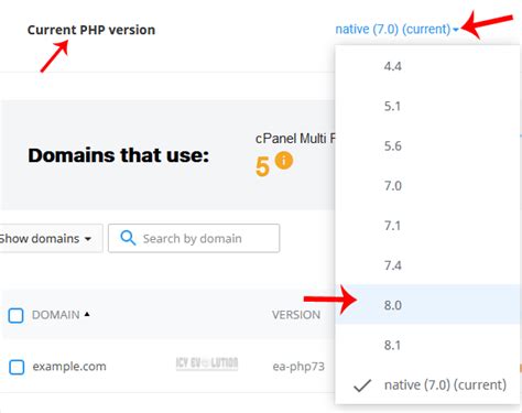 How To Change The Php Version Via Cloudlinux Selector In Cpanel