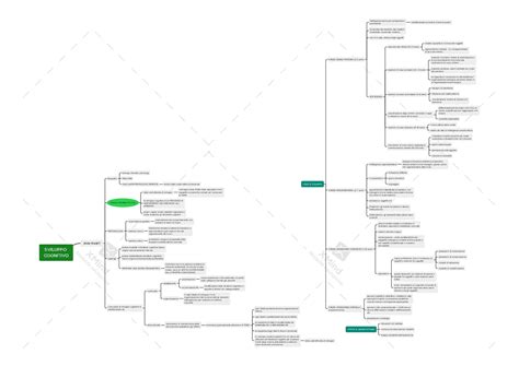 Mappa Concettuale Piaget Docsity