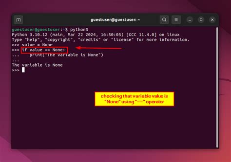 How To Check The None Value In Python Best Ways