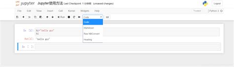 Python代码编辑器jupyter的使用 Csdn博客