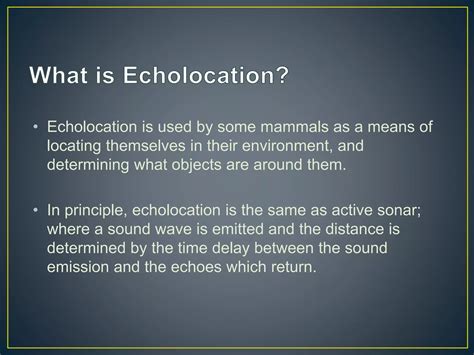 Physics And Echolocation Pptx Physics Science Physics And Echolocation Pptx Physics Science