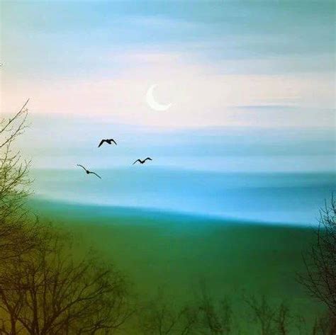 弱者合群，强者互助，智者独行齐白石