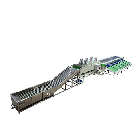 Multi Purpose Vegetable Washing Drying Grading Sorting Packing Machine For Capsicumpotato