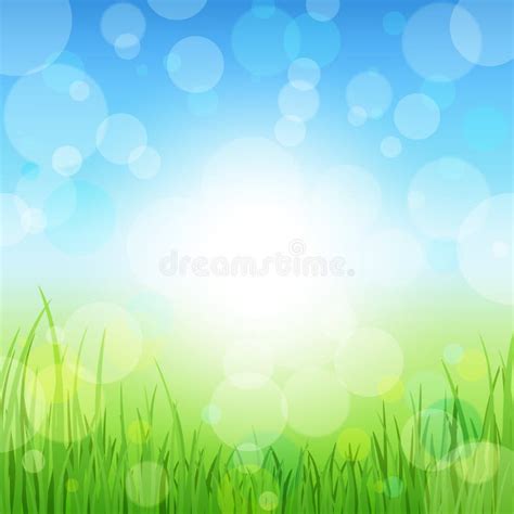 Summer Nature Background With Green Grass And Sky Stock Vector