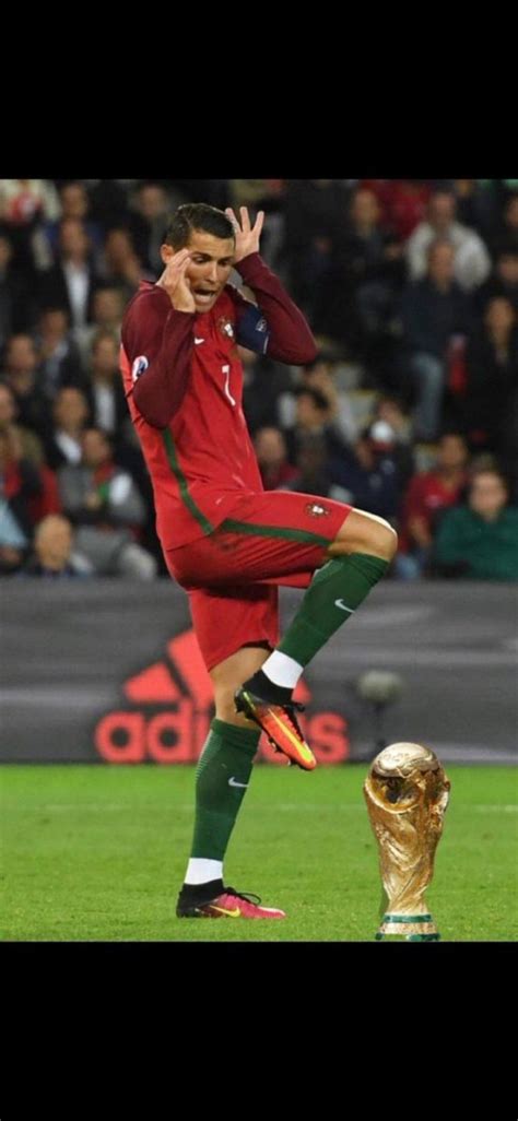 Honest Fan On Twitter Warra World Cup For You Penaldo Messi Owns You