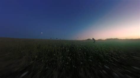 Larza Purple François Havard