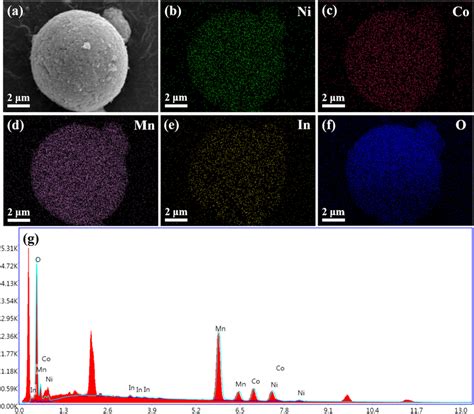 Elemental Mapping Af And Eds Spectrum G Of 1 Wt In2o3 Coated Download Scientific Diagram