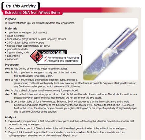 Dna Extraction Lab