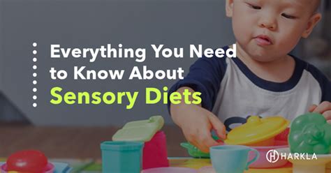 The Ultimate Guide To Sensory Diets Activities Templates And More