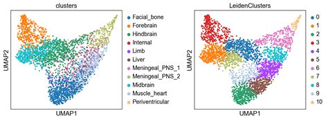 Tutorial 1 Cross Modality Representation Of Spatial Atac Mouse Embryo