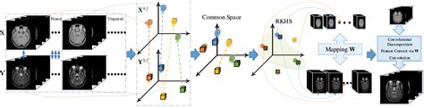 Figure 1 From A Survey Of Cross Modality Brain Image Synthesis