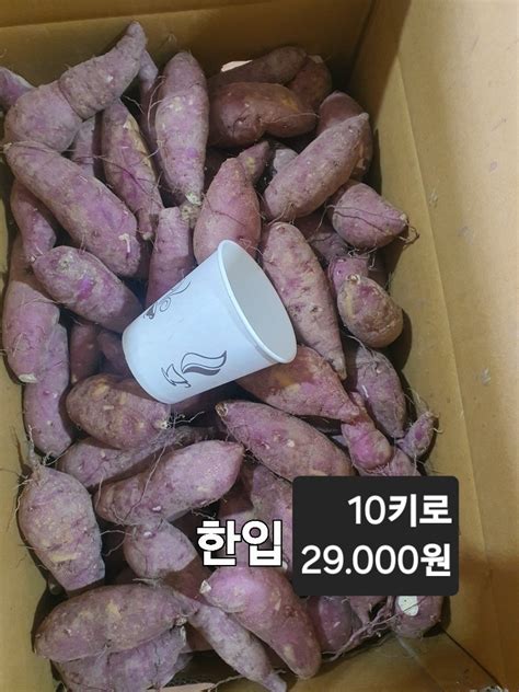 판매방 햇고구마 캤어요 해남 화산 황토 밤고구마 택배비포함 가격입니다 주문 010 2786 3020 긴거10키로