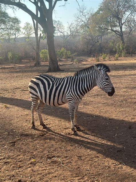 Beth Herbert On Linkedin Buildingautomation Smartbuildings