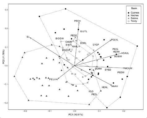 Principal Component Analysis PCA On Morphological Traits Of Download Scientific Diagram