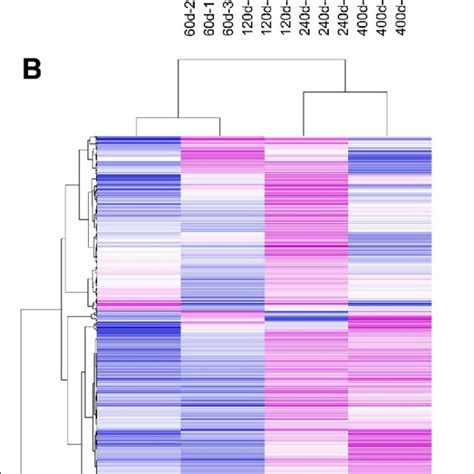 hierarchical clustering analysis for all the samples and differentially