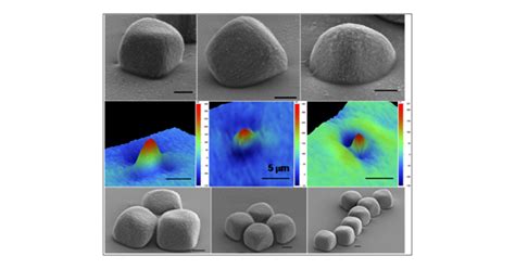 Shape Induced Deformation Capillary Bridging And Self Assembly Of Cuboids At The Fluidfluid