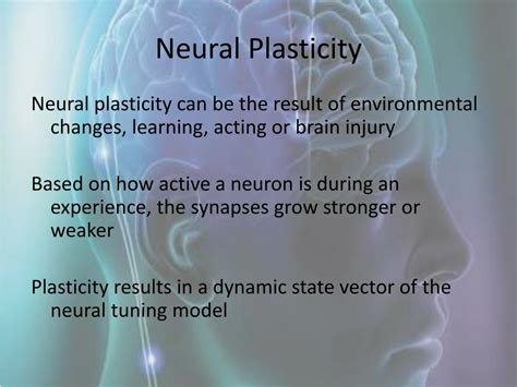 PPT Parallel FPGA Particle Filtering For Real Time Neural Signal Processing PowerPoint