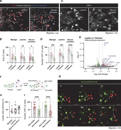 Smart Seq V4 Ultra Low Input Rna Kit For Sequencing Takara Bioz