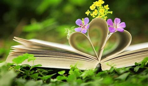 Hình Cuốn Sách Cách Tạo Ra Những Hình Ảnh Thú Vị Cho Cuốn Sách Của Bạn