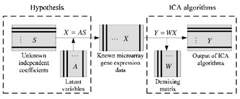 theoretical framework of ica algorithms on microarray gene expression