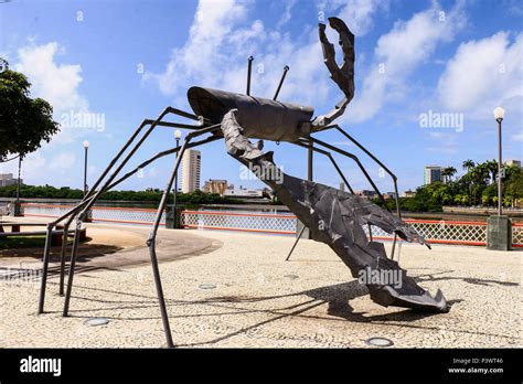 Recife Pe 06062016 Escultura Caranguejo Caranguejo Gigante