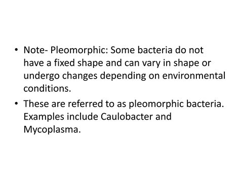 Bacteria Pdf