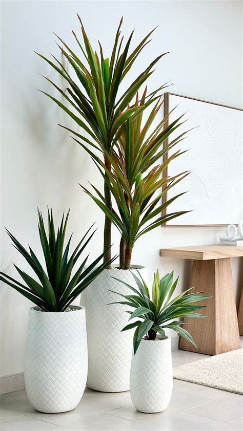 Giant Yucca Faux Tree 6 6 Decora Home