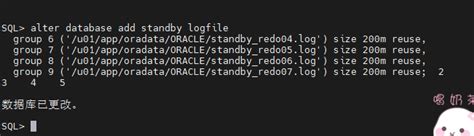 oracle19c adg搭建 oracle 19c adg搭建详细步骤 csdn博客
