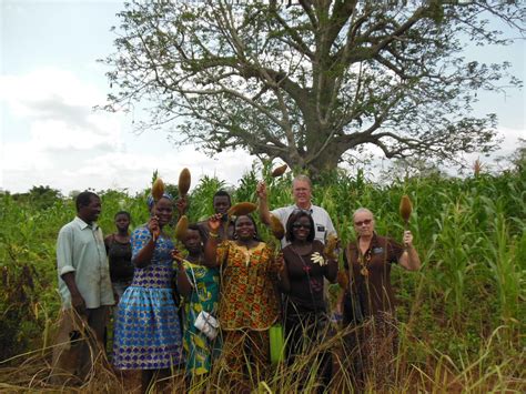 Africa4Lyons The African Tree Of Life