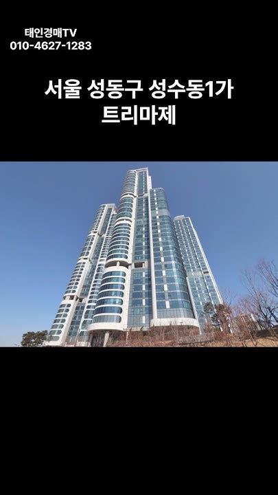서울 성동구 성수동1가 트리마제 경매 경매 부동산 부동산경매 아파트 서울아파트 경매컨설팅 투자 동부3계2023타경