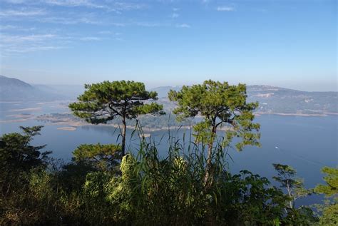 Chir Pine Forest Lake Free Photo On Pixabay Pixabay