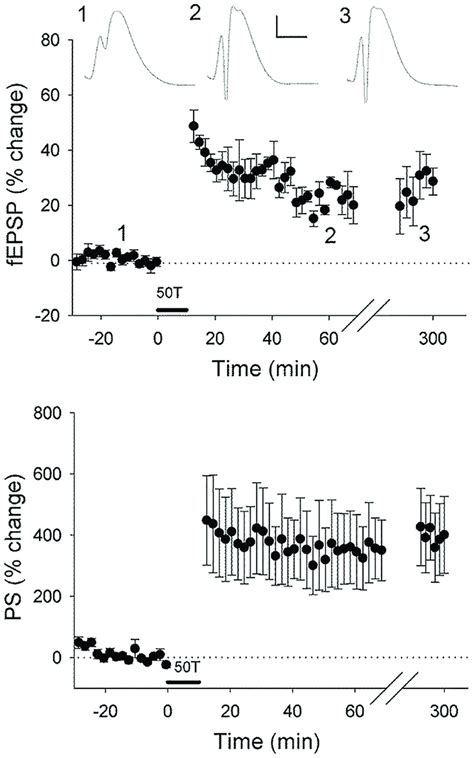 Induction Of Robust Ltp At Perforant Path Granule Cell Synapses In Download Scientific Diagram