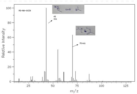Solved Explain The Importance Of The Labeled Peaks In The