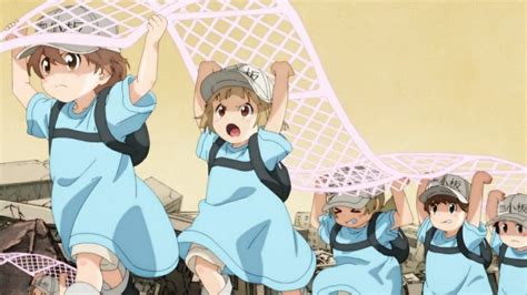 Platelets ⌟ Anime Funny Anime Female Characters