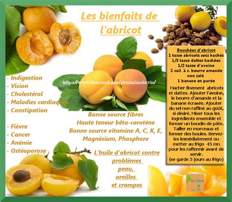 Image De Jaune Signification De La Couleur Jaune Abricot