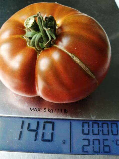 Ruby Surprise Dreamgardenlt