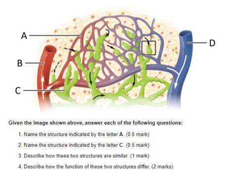 Solved A D B C Given The Image Shown Above Answer Each Of Chegg