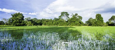 Vegetation Management Beach Profiling Banner 1 Envirostruct Services