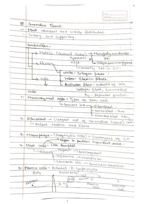 SOLUTION Connective Tissue And Its Types Studypool