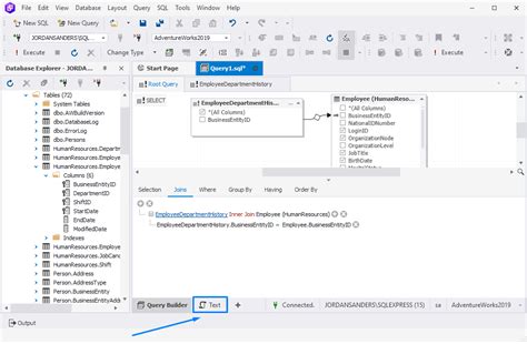 Viewing And Executing Queries