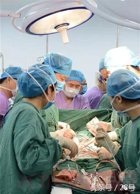 換心術！27歲患者在鄭州市心血管病醫院成功實施心臟移植手術 每日頭條