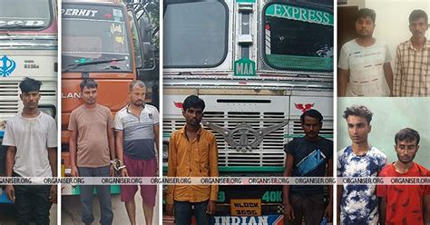 Assam 271 Cows Rescued By Police In 5 Days Cow Smugglers Abdul