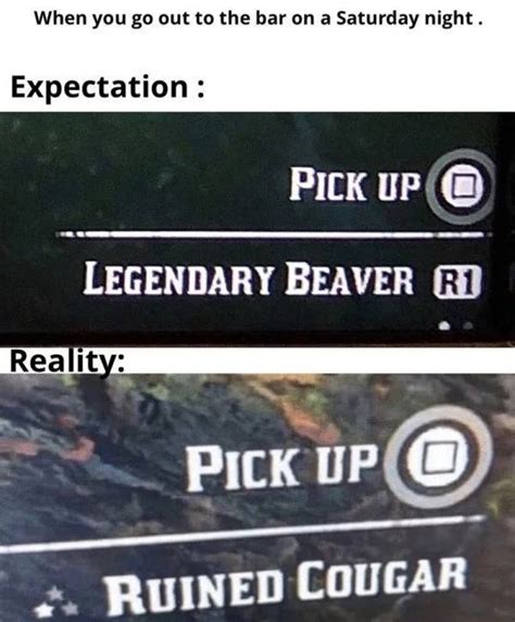 Expectations Vs Reality Part 18 Fun
