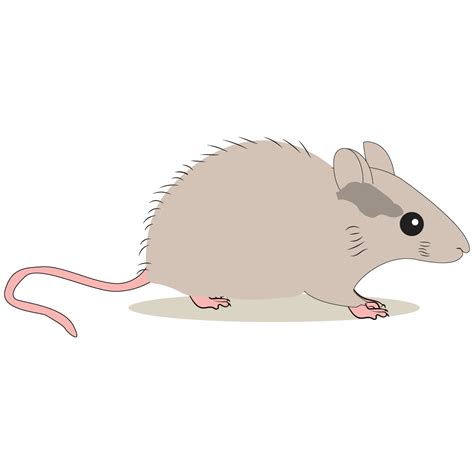 生物医学之家