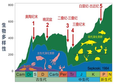 我科研团队揭秘大灭绝事件中生物形态演变过程 国内动态 华声新闻 华声在线