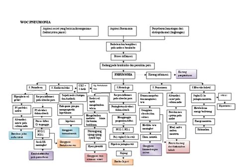 Woc Pneumonia New Pdf