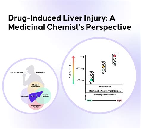 Decoding Dna Encoded Libraries For Drug Discovery