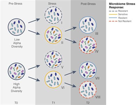 2 Coral Microbiome Stability Dynamics Under Stress Two Initial States