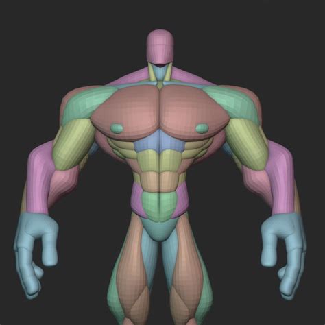 ArtStation Stylized Bulky Blockout V5 Stylized Human Drawing
