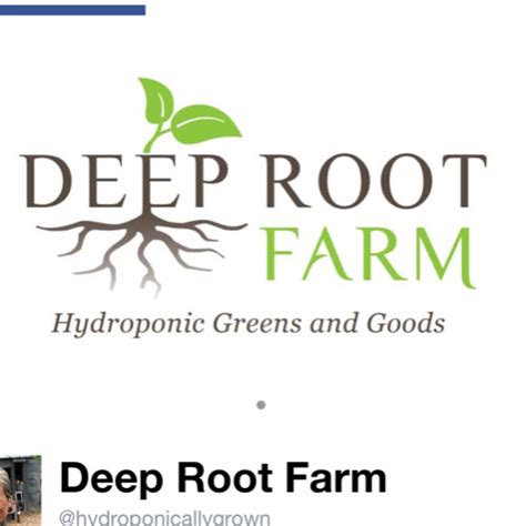 Monica Lear Owner Of A Small Business Deep Root Farm Hydrponic Greenhouse Linkedin
